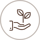 Home - Apostoli_Viae